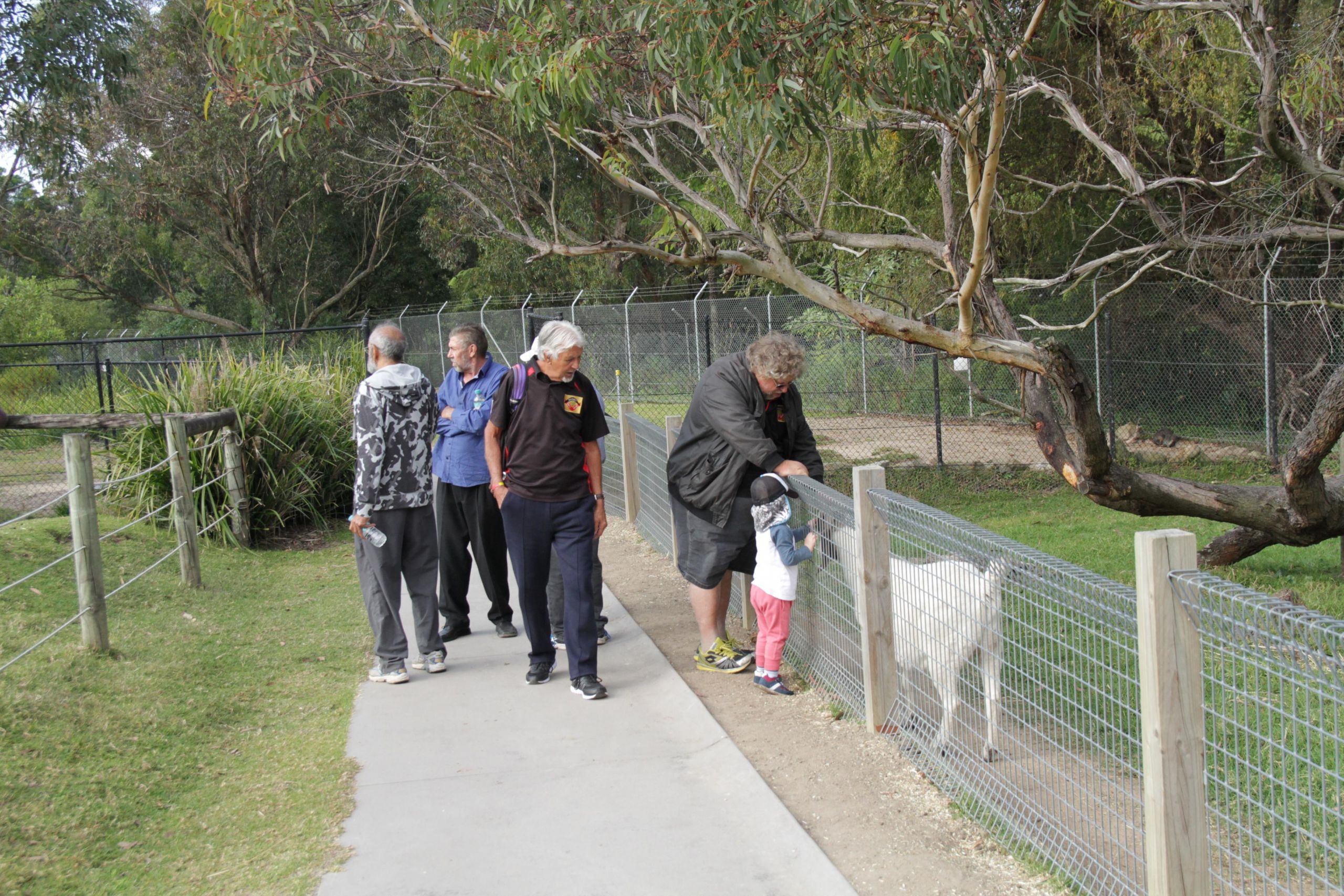 Men's Group Gallery - Kurranulla Aboriginal Corporation